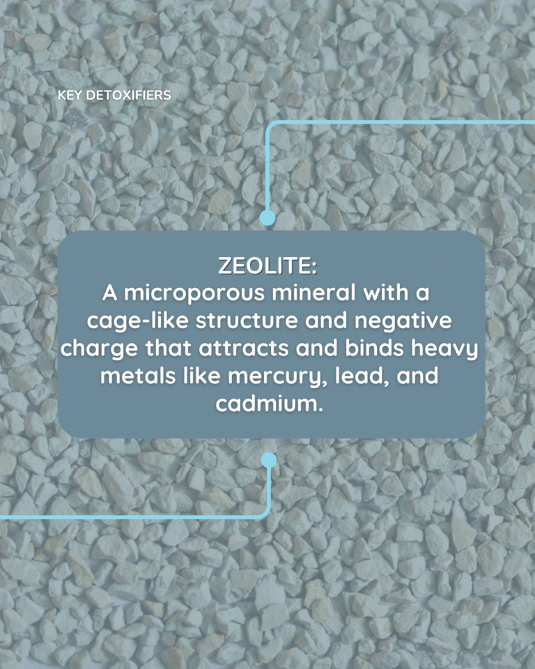 Supplement of the Week: HM-ET Binder by CellCore - Functional Medicine ...